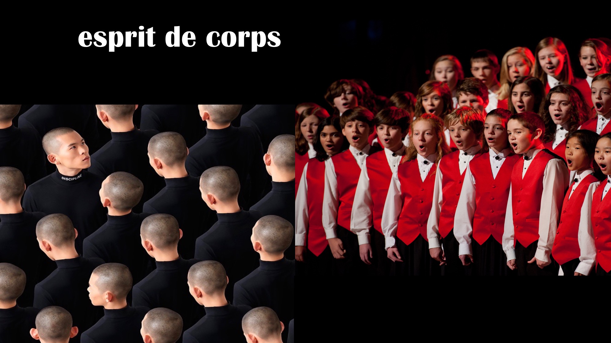 Two Facets of Esprit de Corps – CREALECTICS